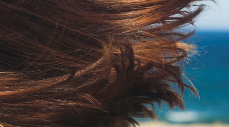 Reverse highlights, who are they for and why opt for this technique ...