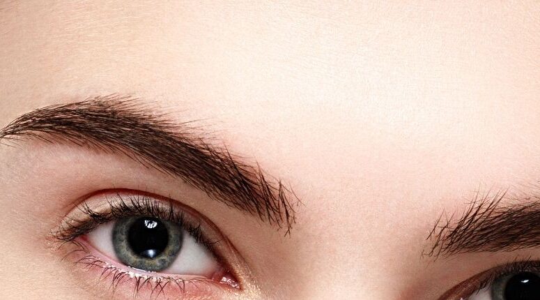For or against colouring eyebrows - [EN] Jean Louis David